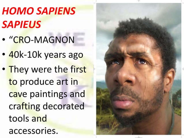 8 human origins | PPTX | Biological Sciences | Science