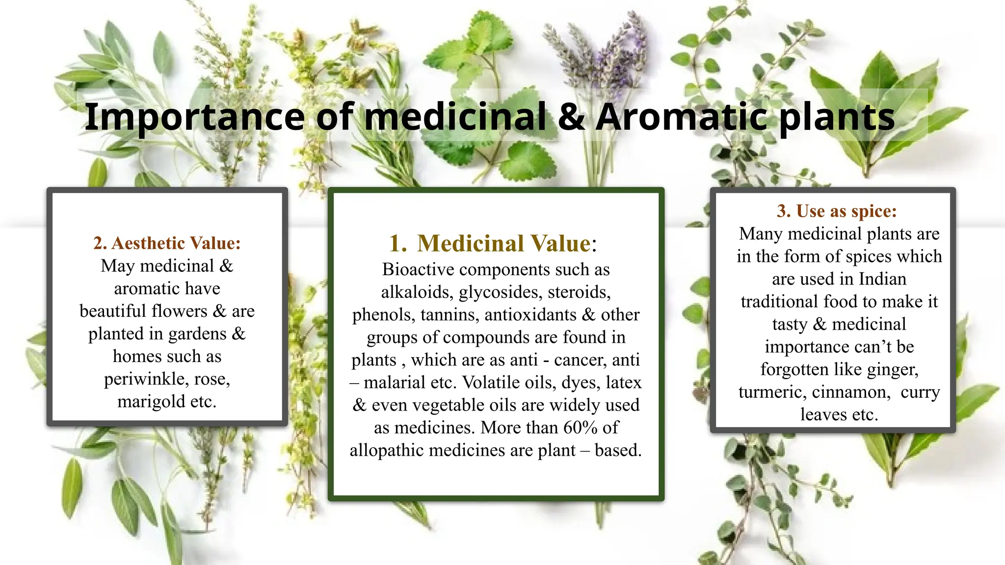 Importance Of Medicinal and aromatic plant.pptx