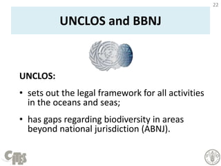 Introduction From the Sea (IFS) | PPT