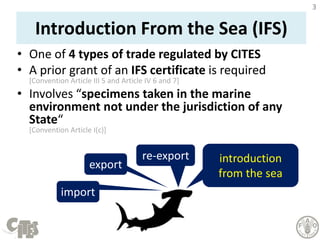Introduction From the Sea (IFS) | PPTX