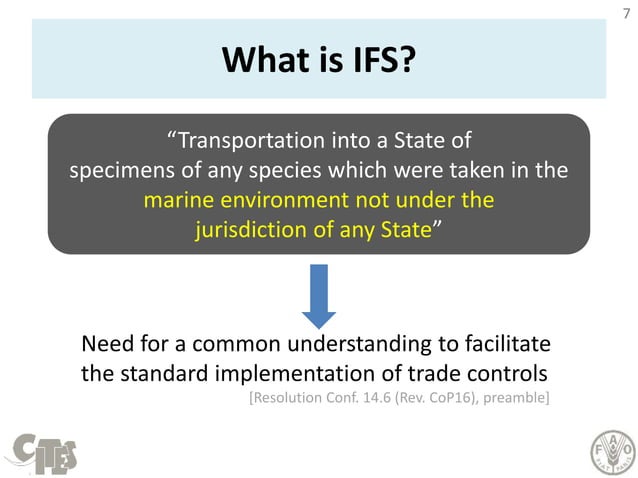 Introduction From the Sea (IFS) | PPTX | Cruises | Travel Type