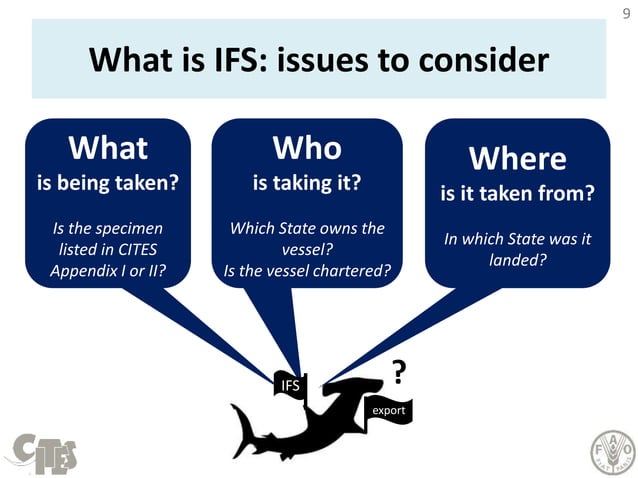 Introduction From the Sea (IFS) | PPTX | Cruises | Travel Type