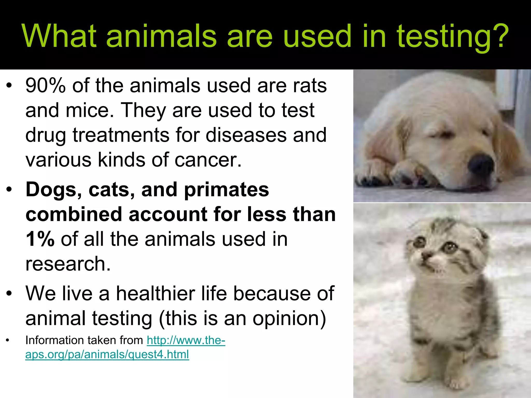Animal testing | PPTX