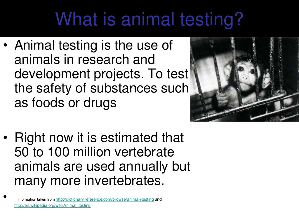 animal-testing