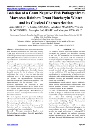 Isolation of a Gram Negative Fish Pathogenfrom Moroccan Rainbow Trout ...