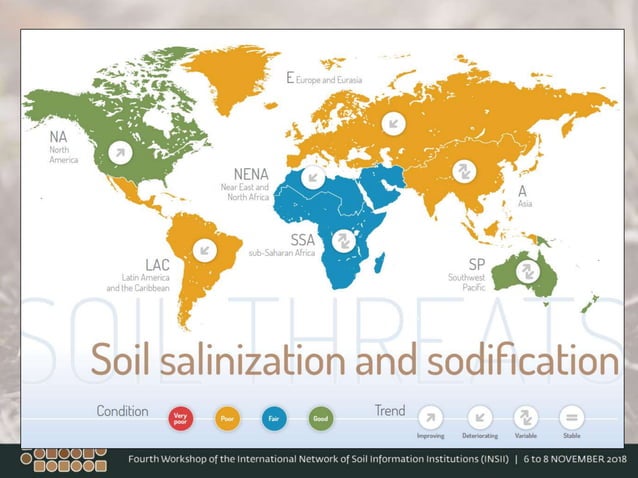 ITEM 6. Global Soil Salinity Map: Review the Concept Paper and the ...
