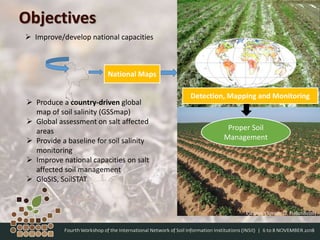 ITEM 6. Global Soil Salinity Map: Review the Concept Paper and the ...