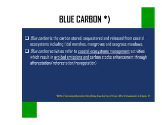Community Based Approaches: Silvo-Fisheries, Bio-rights and Blue Carbon ...