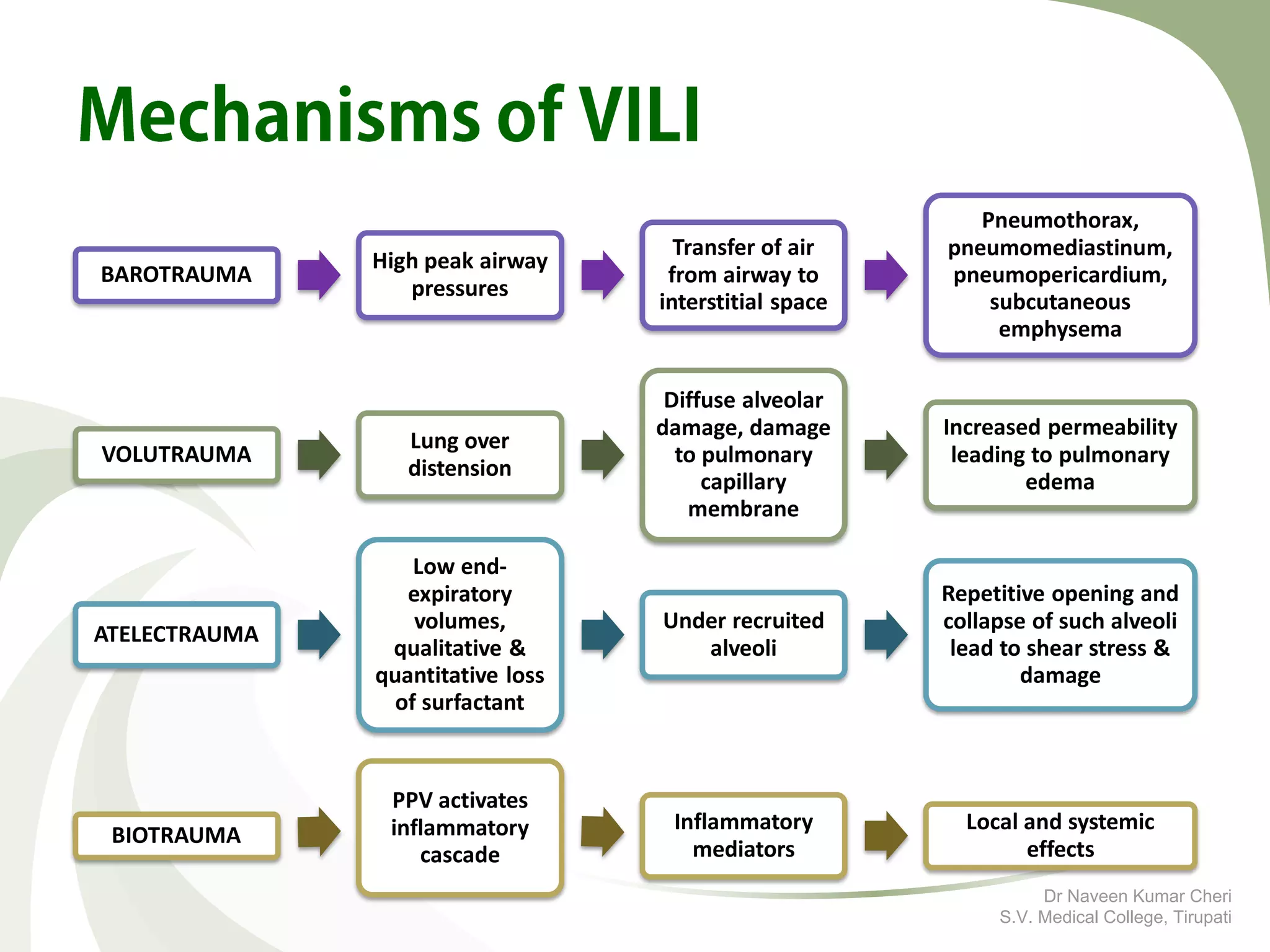 HFOV - High Frequency Oscillatory Ventilation | PDF