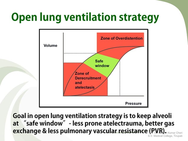 HFOV - High Frequency Oscillatory Ventilation | PDF | Lung and ...