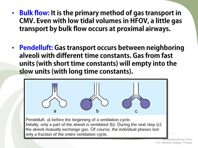 HFOV - High Frequency Oscillatory Ventilation | PDF | Lung and ...