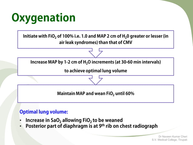HFOV - High Frequency Oscillatory Ventilation | PDF | Lung and ...