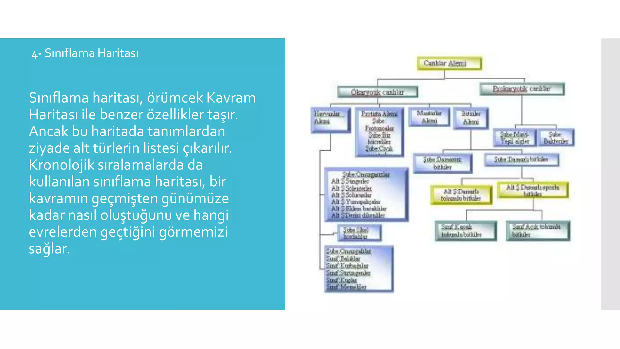 8 Kavram haritalama nedir.pptx