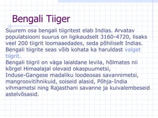 Tiigri | PPT