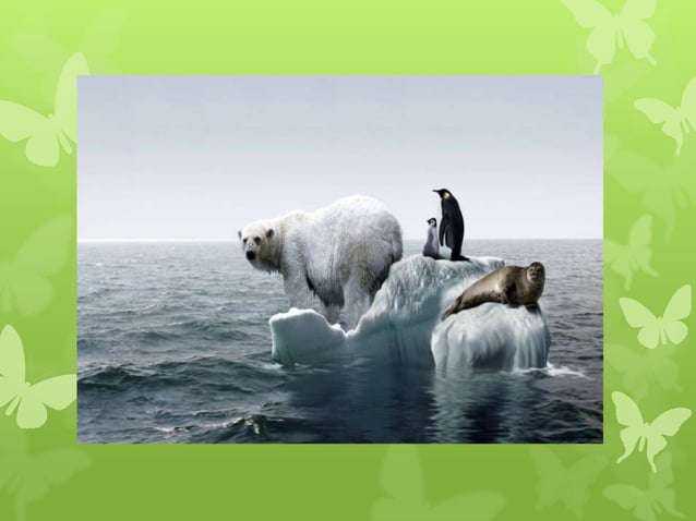 8 klimatske promene | PPTX