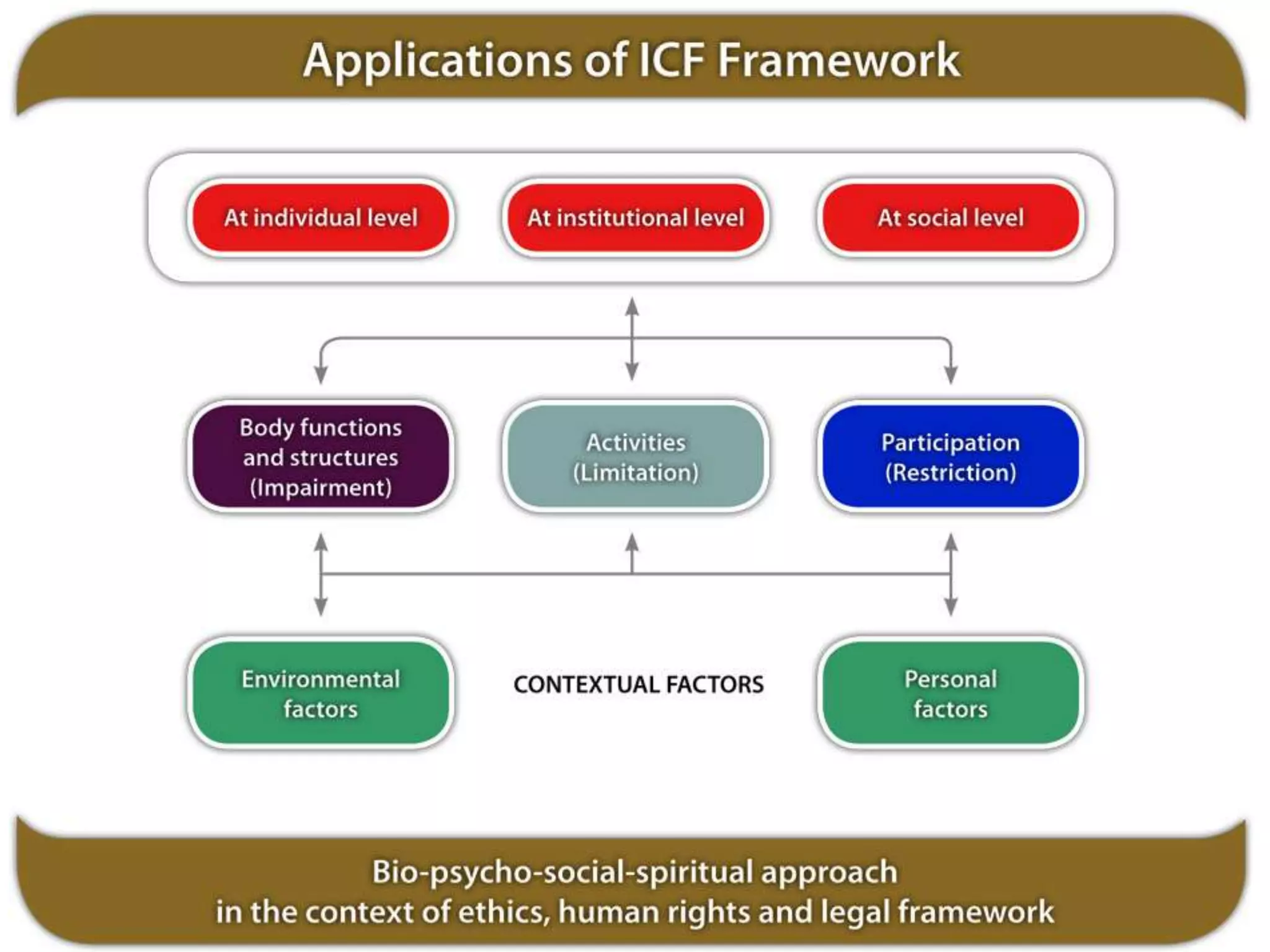 International Classification of Functioning, Disability and Health (ICF): An Interprofessional ...