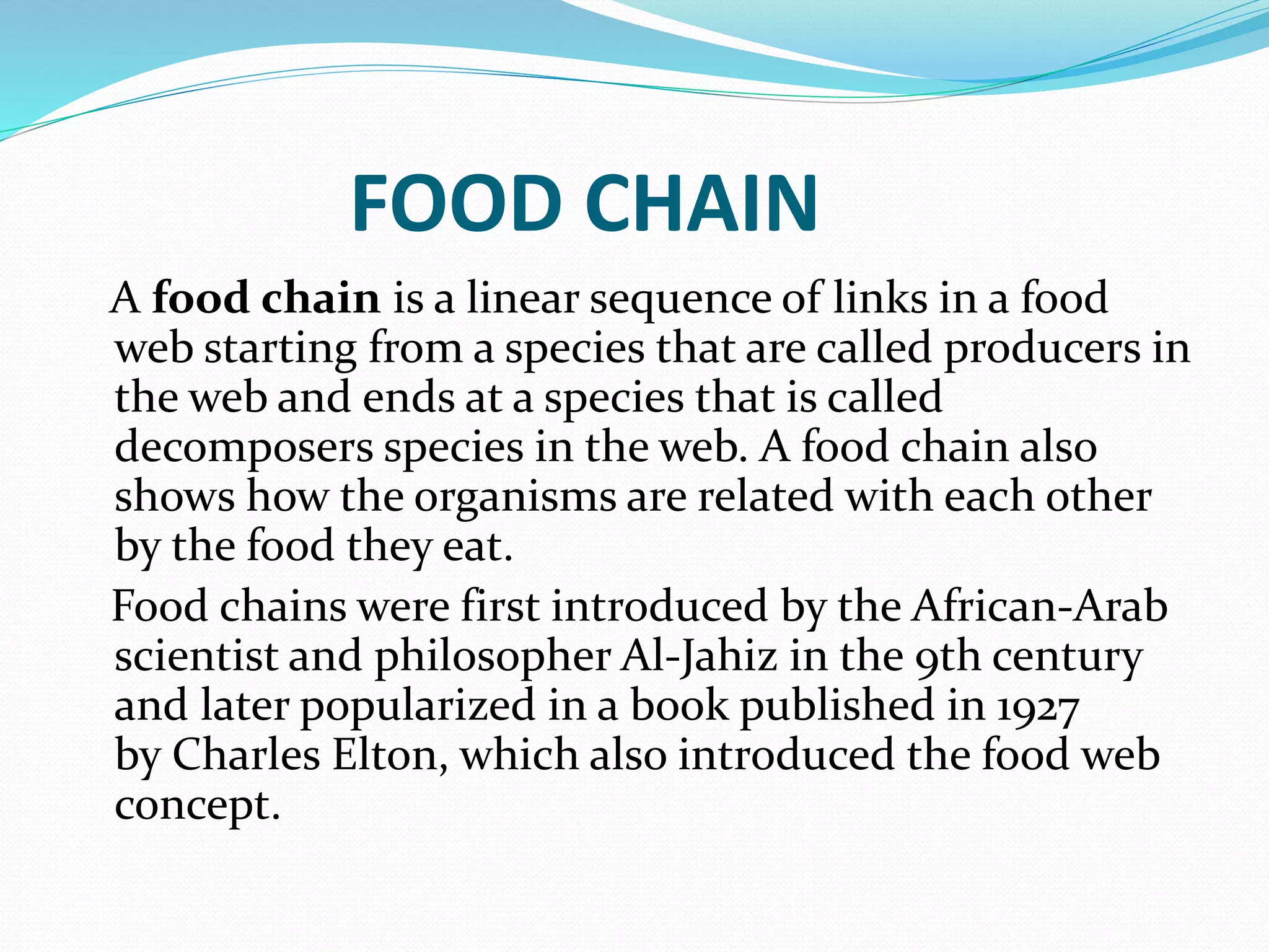 Food chain | PPT