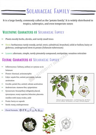 Morphology_of_Flowering_Plants_Shobhit_Nirwan.pdf class 11th biology | PDF