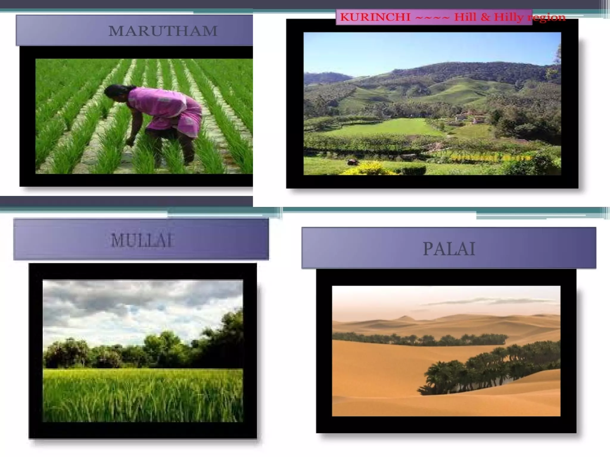 5 ancient tamilakam | PPT