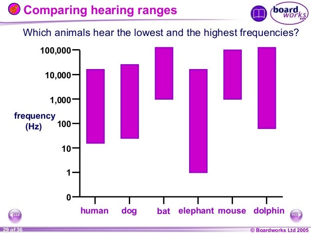 8 l sound & hearing (boardworks)