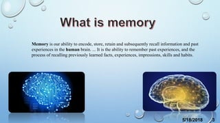 screening model for learning and memory | PPTX