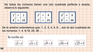 8º_MATEMATICA_Raices_Partes de la Raíz.. | PDF