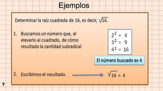 8º_MATEMATICA_Raices_Partes de la Raíz.. | PDF