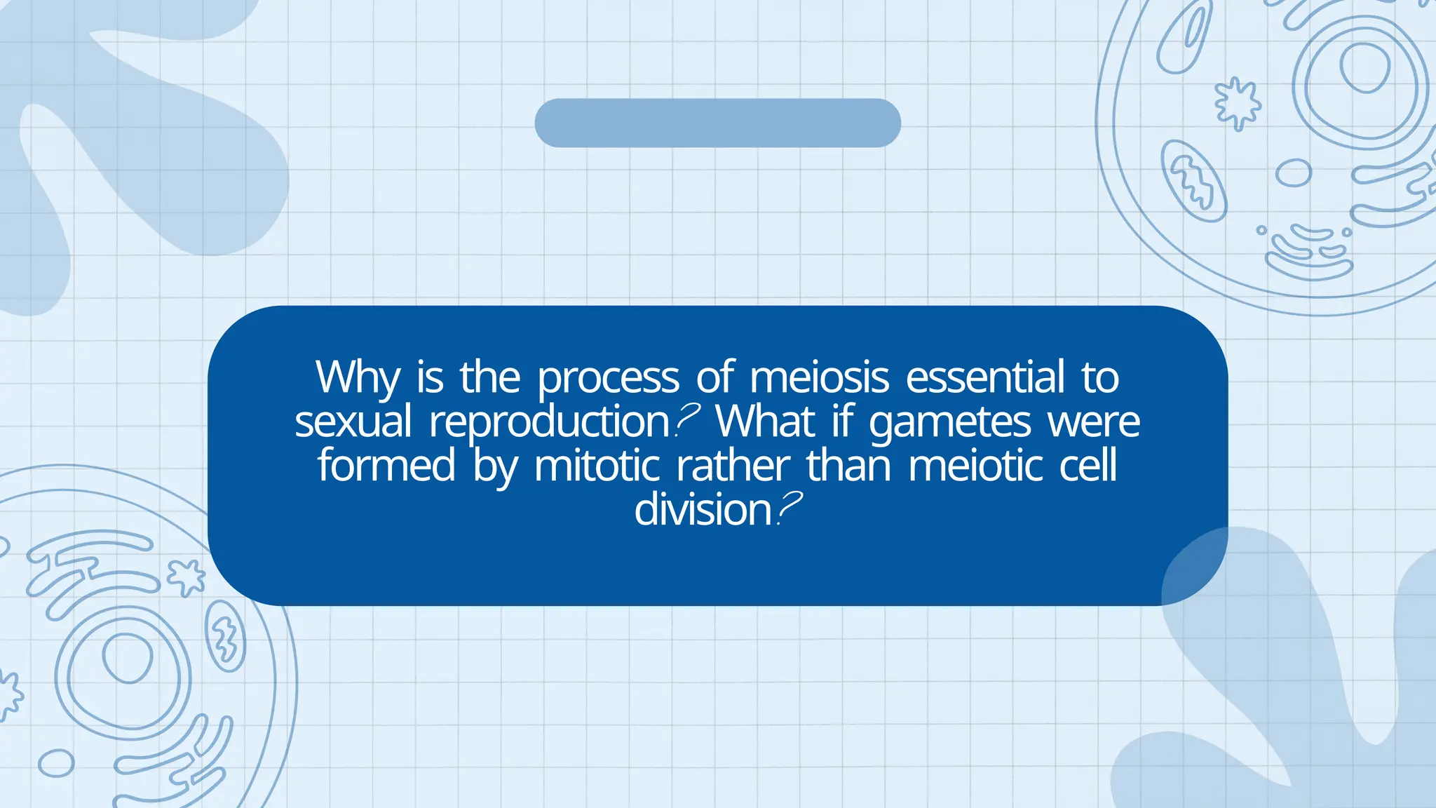 8 Meiosis and Gametogenesis.pdf