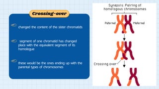 8 Meiosis and Gametogenesis.pdf
