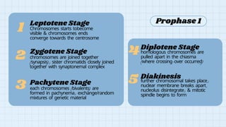 8 Meiosis and Gametogenesis.pdf