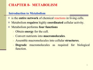 8_Metabolism,_catabolism_of_carbohydrates,_lipids_and_propteins.ppt