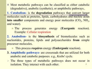 8_Metabolism,_catabolism_of_carbohydrates,_lipids_and_propteins.ppt