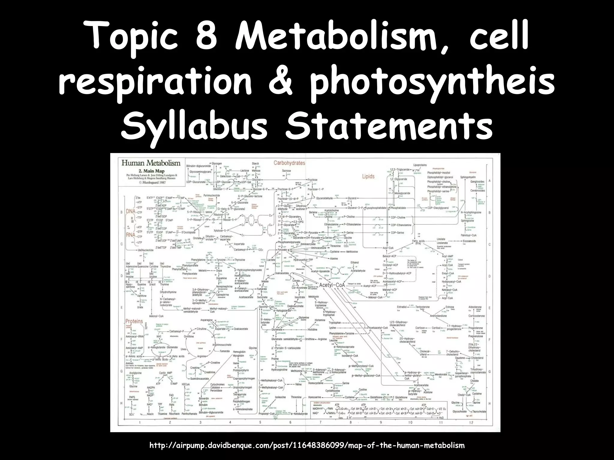 8 metabolism, cell respiration & photosynthesis syllabus statements | PPT