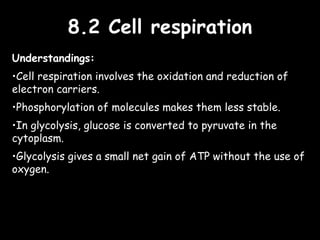 8 metabolism, cell respiration & photosynthesis syllabus statements | PPT