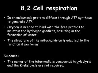 8 metabolism, cell respiration & photosynthesis syllabus statements | PPT