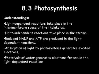 8 metabolism, cell respiration & photosynthesis syllabus statements | PPT