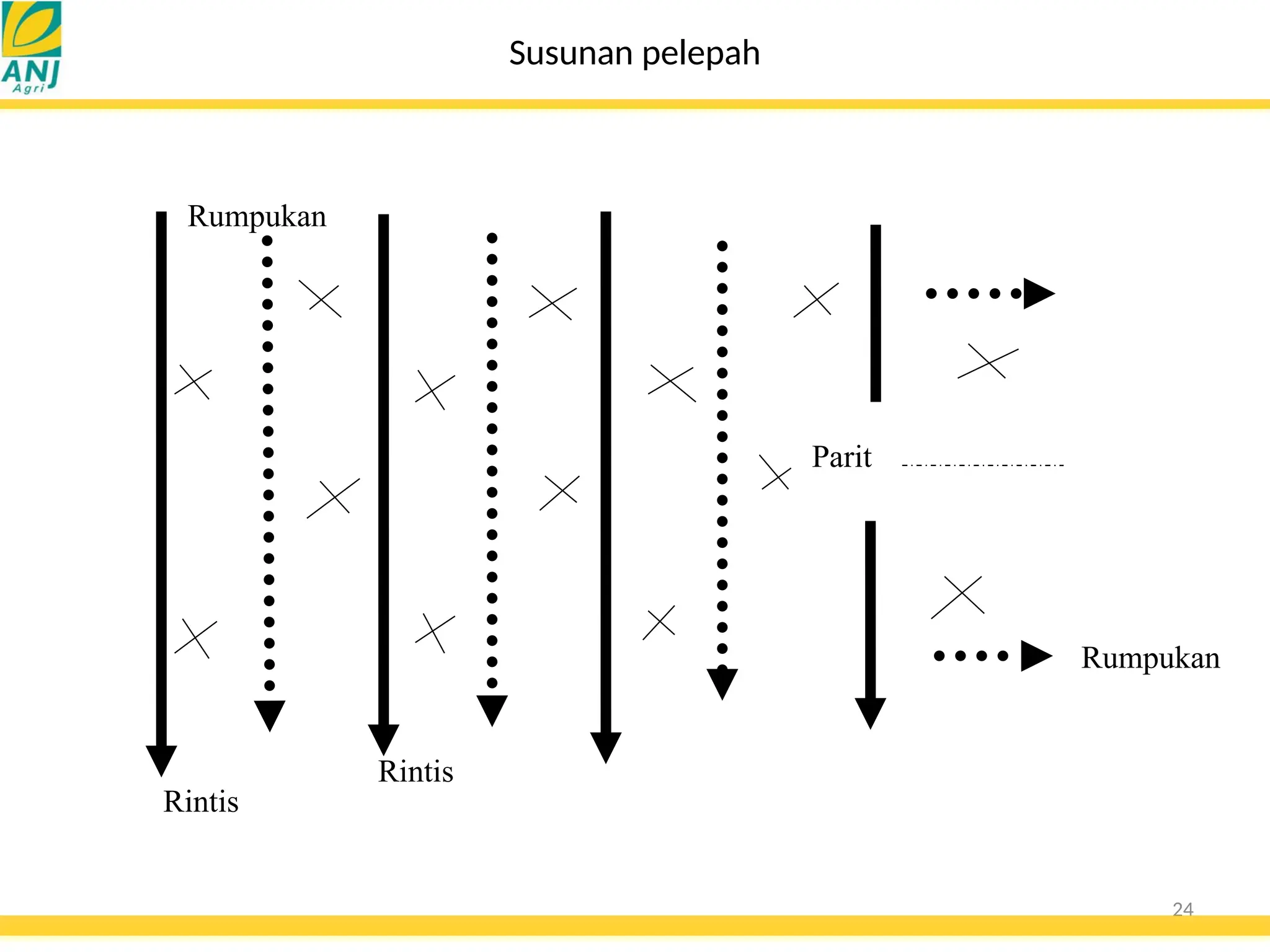 CARA TUNAS POKOK TANAMAN KELAPA SAWIT.pptx