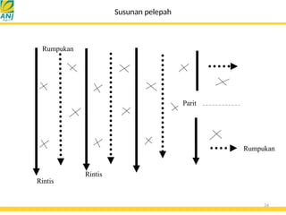 CARA TUNAS POKOK TANAMAN KELAPA SAWIT.pptx