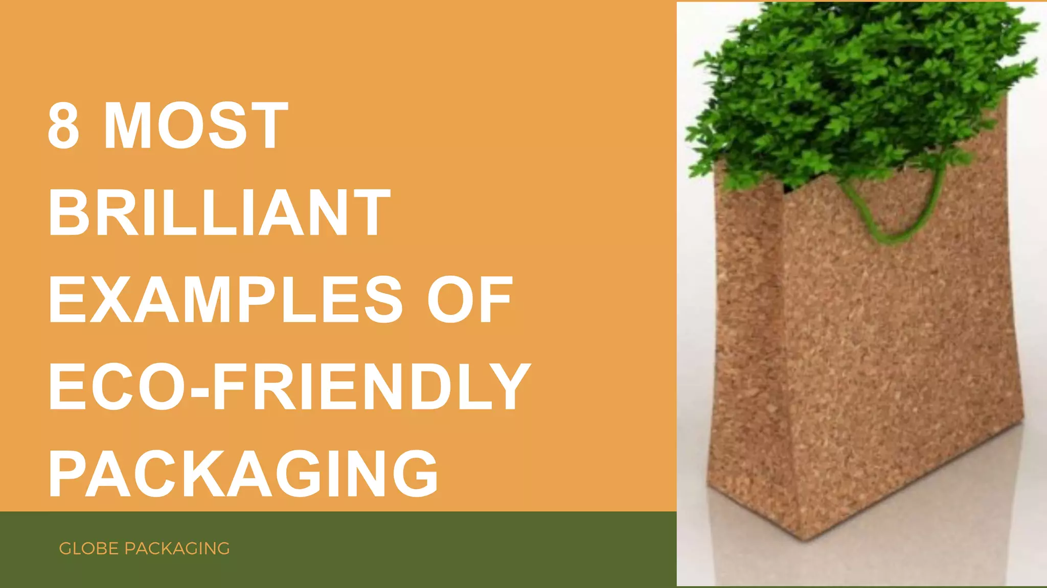 8 MOST BRILLIANT EXAMPLES OF ECO-FRIENDLY PACKAGING | PPTX