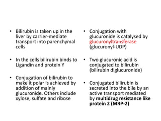 Haem metabolism | PPTX