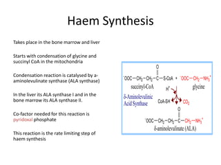 Haem metabolism | PPTX
