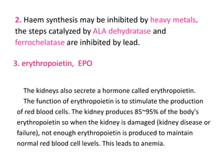 Haem metabolism | PPTX