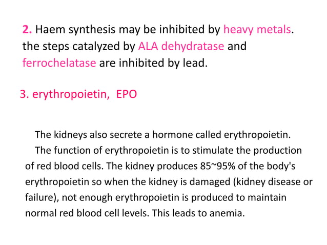 Haem metabolism | PPTX | Blood Disorders | Diseases and Conditions