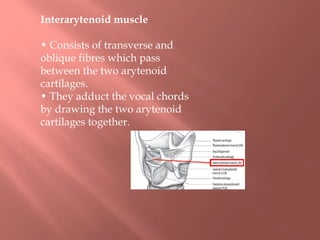 8 muscles of larynx and pathologies.pptx