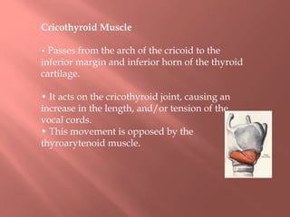 8 muscles of larynx and pathologies.pptx