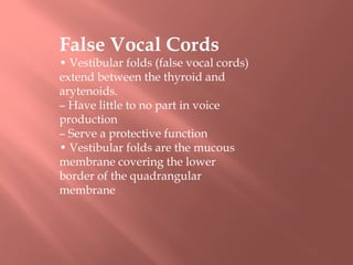 8 muscles of larynx and pathologies.pptx