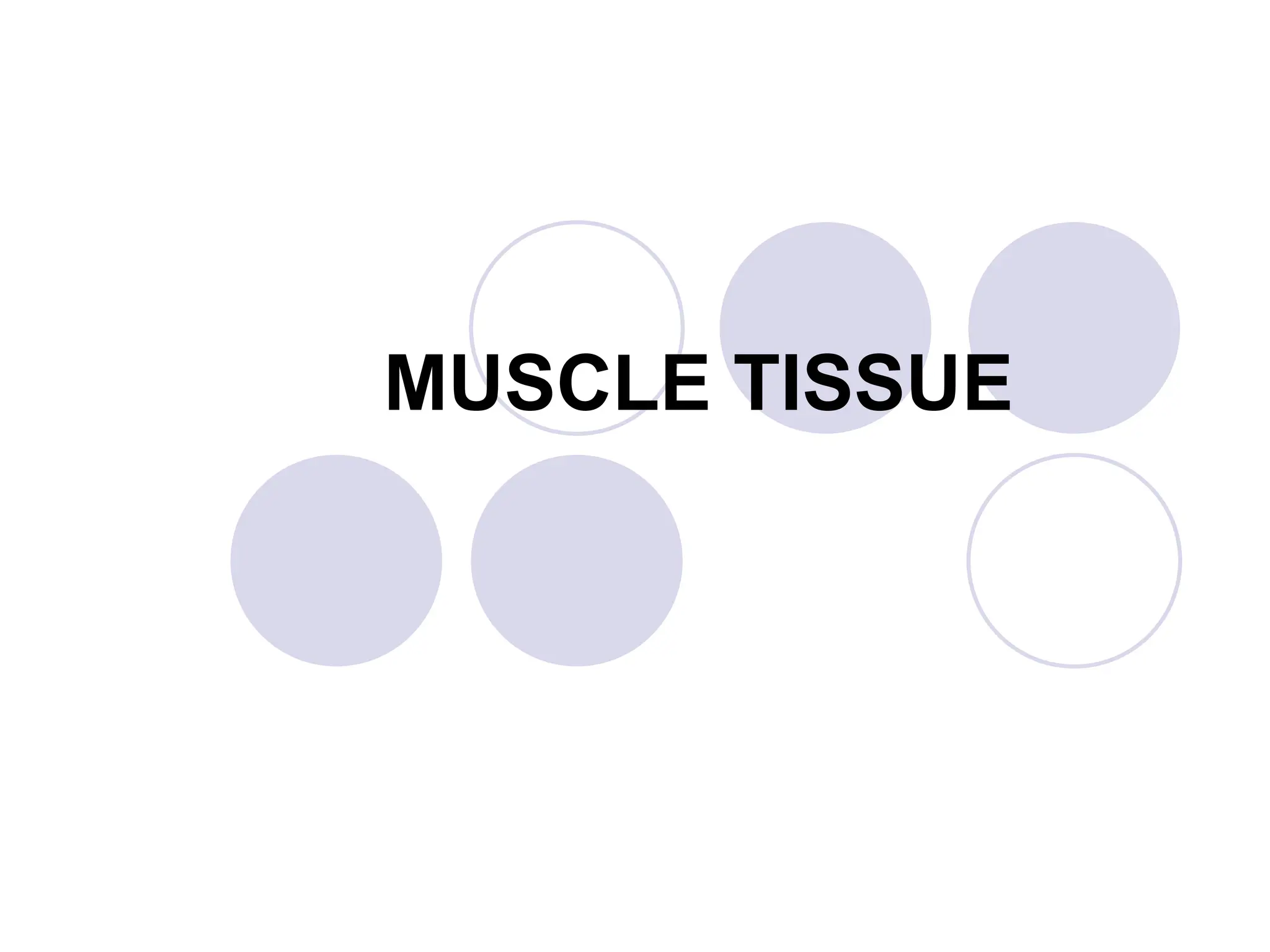 8_MUSCLE TISSUE.pptx