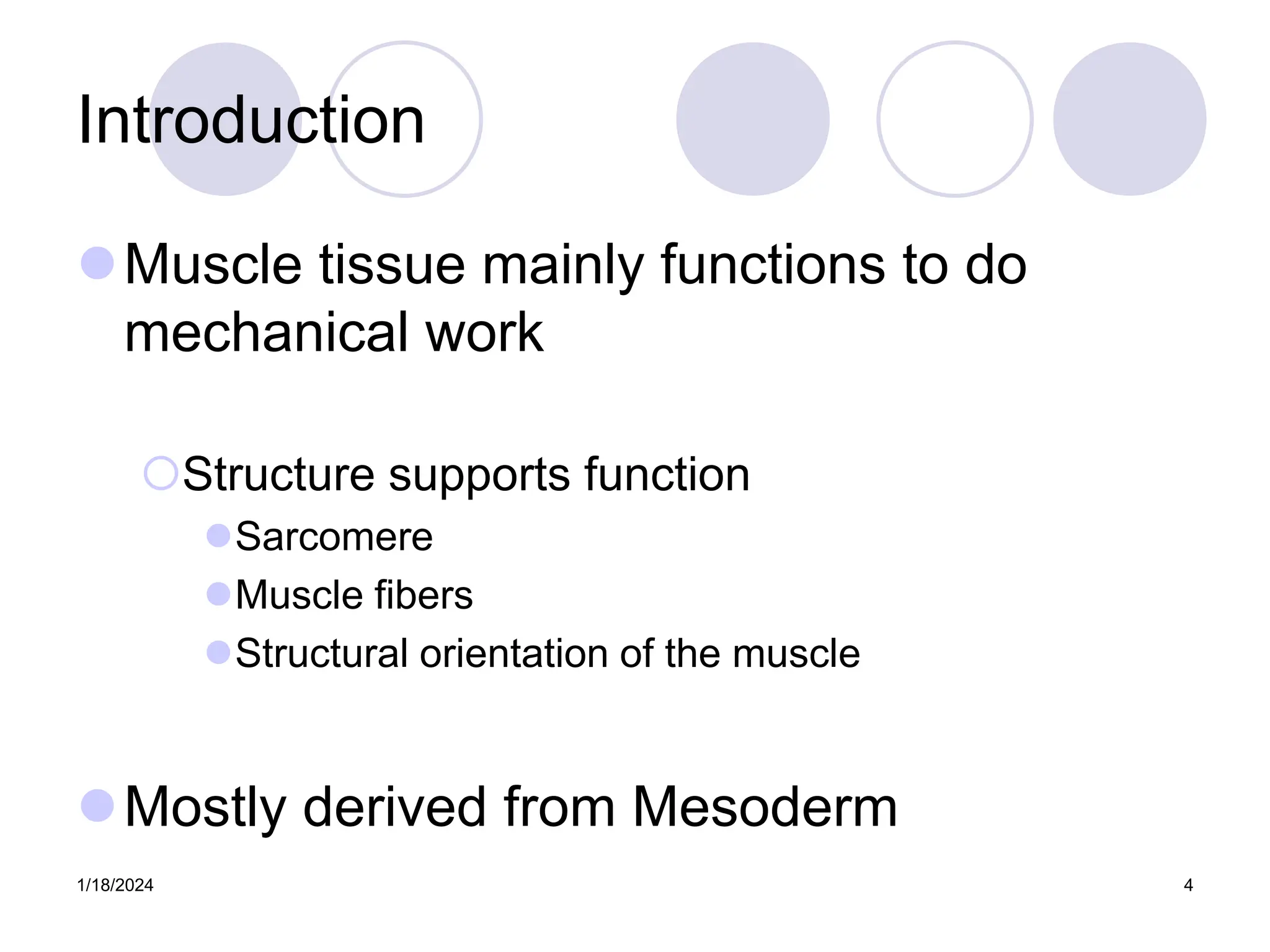 8_MUSCLE TISSUE.pptx