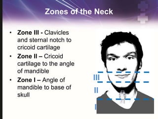 8_Neck Trauma.pptx