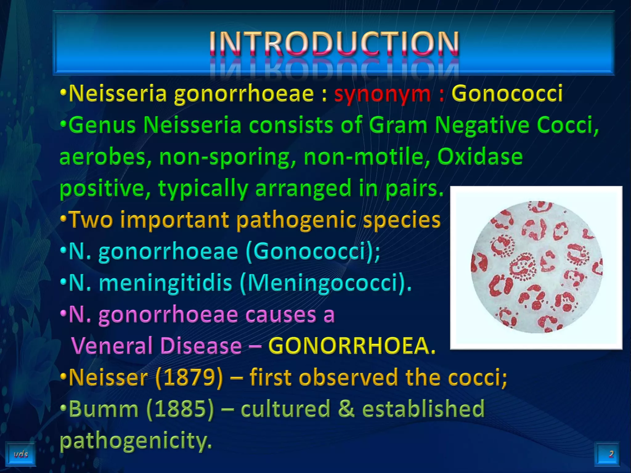 8 NEISSERIA GONORRHOEAE.pdf
